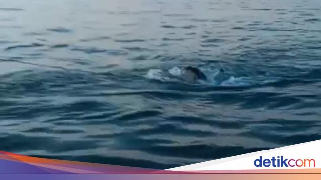 2 Jenazah Diduga ABK KM Putra Sumber Mas Ditemukan di Perairan Kangean 2 Jenazah Diduga ABK KM Putra Sumber Mas Ditemukan di Perairan Kangean