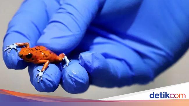 Klasifikasi Makhluk Hidup: Pengertian, Sistem, dan Tujuan