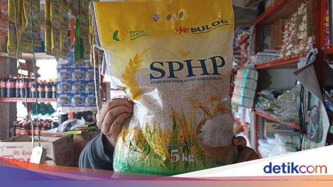 Pengusaha Ungkap Pasokan Beras SPHP ke Ritel, Singgung Bansos Prioritas