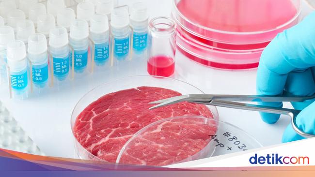 MUI Singapura Halalkan Konsumsi Daging Buatan Laboratorium