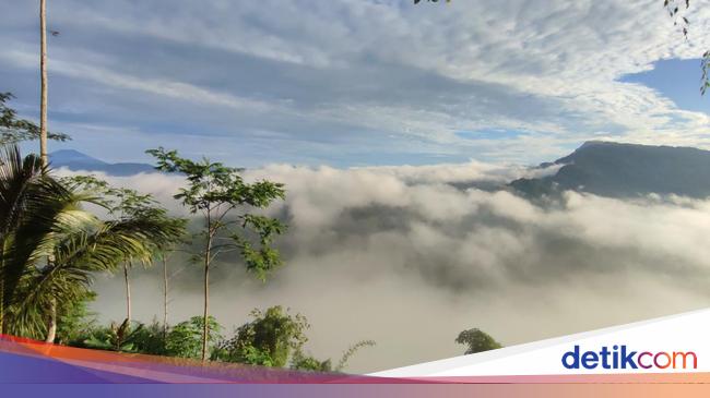 Menyelami Keindahan Negeri di Atas Awan Puncak Bangku Ciamis
