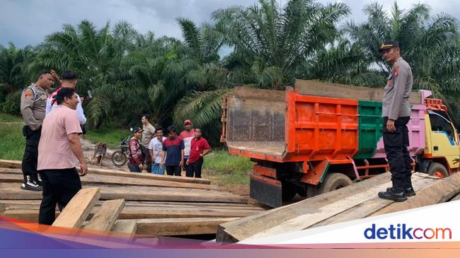 Polisi Sita Ratusan Batang Kayu Ilegal di Bangka Selatan, Pemilik Diburu