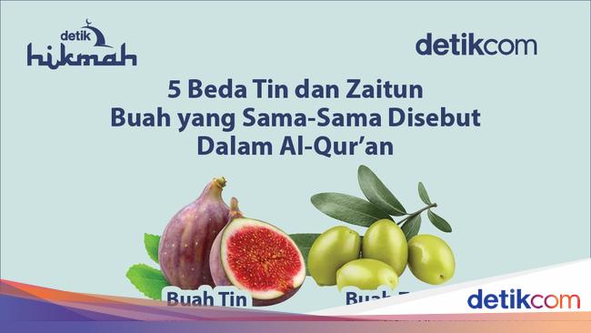 5 Beda Tin dan Zaitun, Buah yang Sama-Sama Disebut Dalam Al-Qur'an