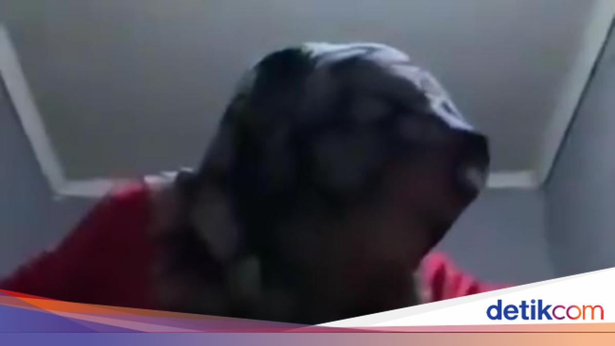 Bukti Kuat Dugaan Perselingkuhan Istri Polisi dengan Oknum ASN Jeneponto