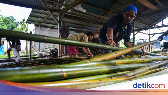 Potret Pengolahan Rotan Mentawai, Harganya Rp 16 Ribu/Batang