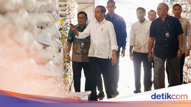 Jokowi Sebut Harga Beras Naik di Seluruh Negara, Begini Data FAO