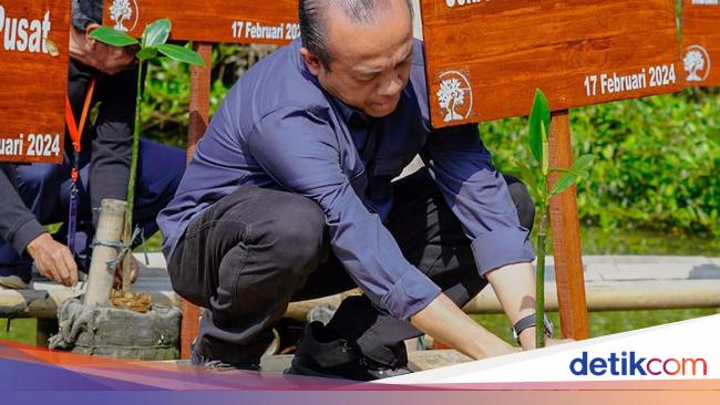 Peringati HPN 2024, KLHK dan PWI Tanam Mangrove di TWA Angke Kapuk