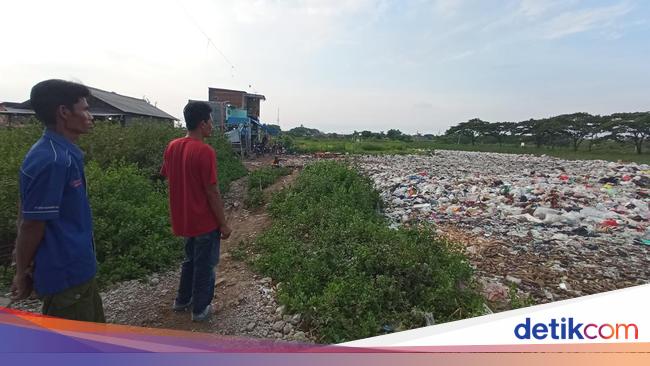 Reaksi Pemkot soal Reklamasi Empang dengan Sampah di Pesisir Cirebon
