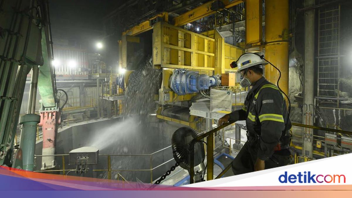 Pengolahan Tambang Freeport, Jadikan Indonesia Salah Satu Pemain ...