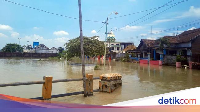 Rumah dan Sawah di Gresik Terendam Banjir Akibat Luapan Kali Lamong