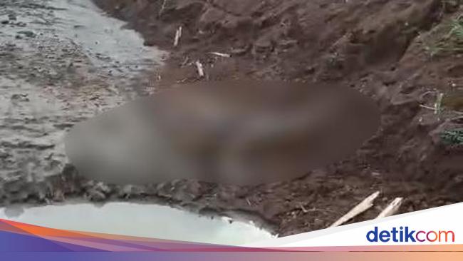 Sempat Hilang 3 Hari, Rio Ditemukan Tewas di Proyek Embung Sempat Hilang 3 Hari, Rio Ditemukan Tewas di Proyek Embung