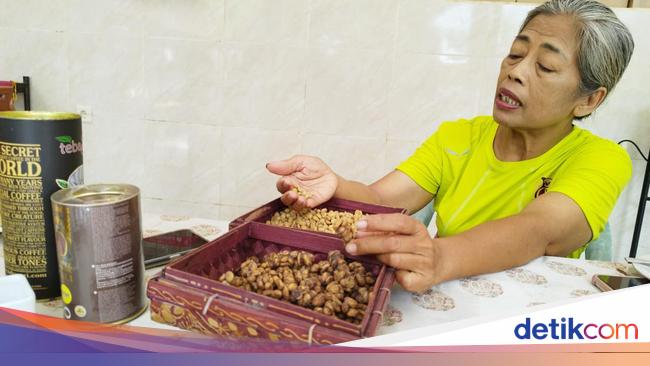 Rambah Digitalisasi, Kopi Luwak Meluwes Bali Melanglang ke Asia-Eropa