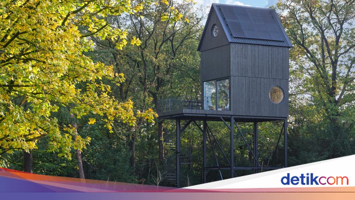 Potret Penginapan yang Bentuknya Mirip Rumah Burung