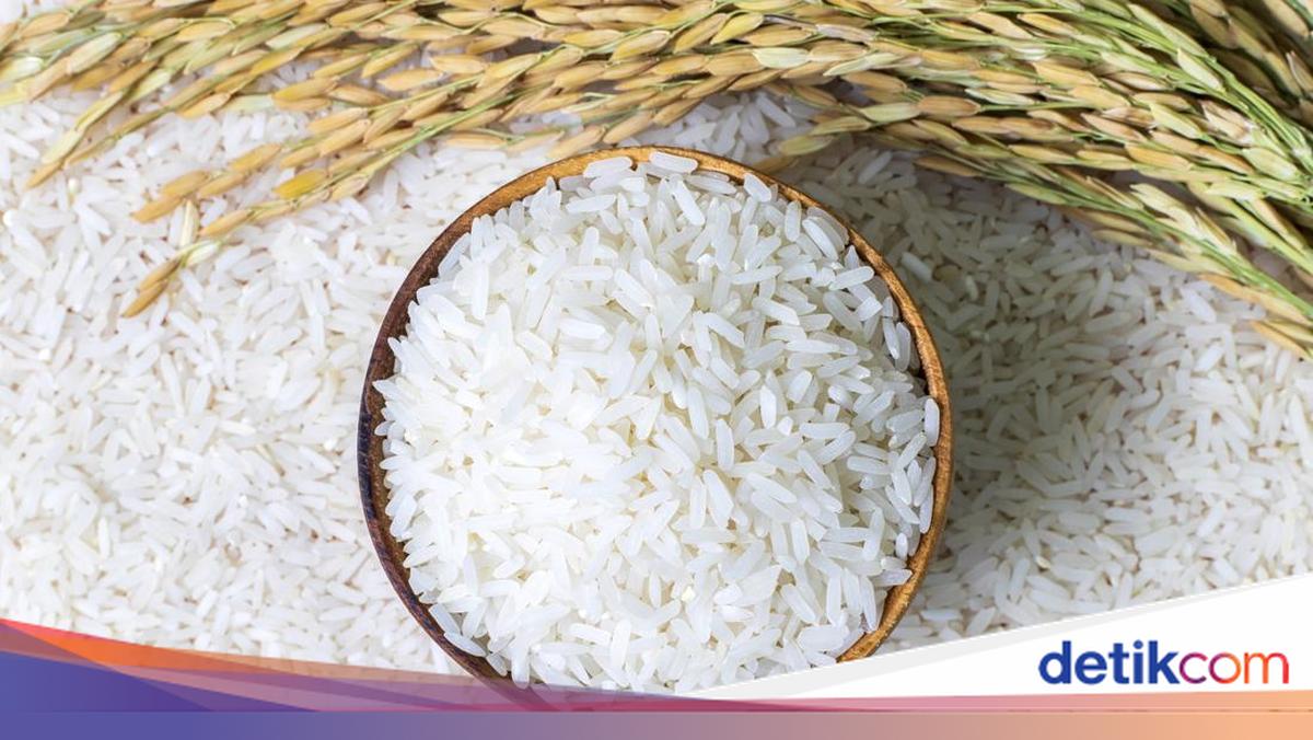 Perbedaan Beras Premium dan Medium, Kenali Cirinya!