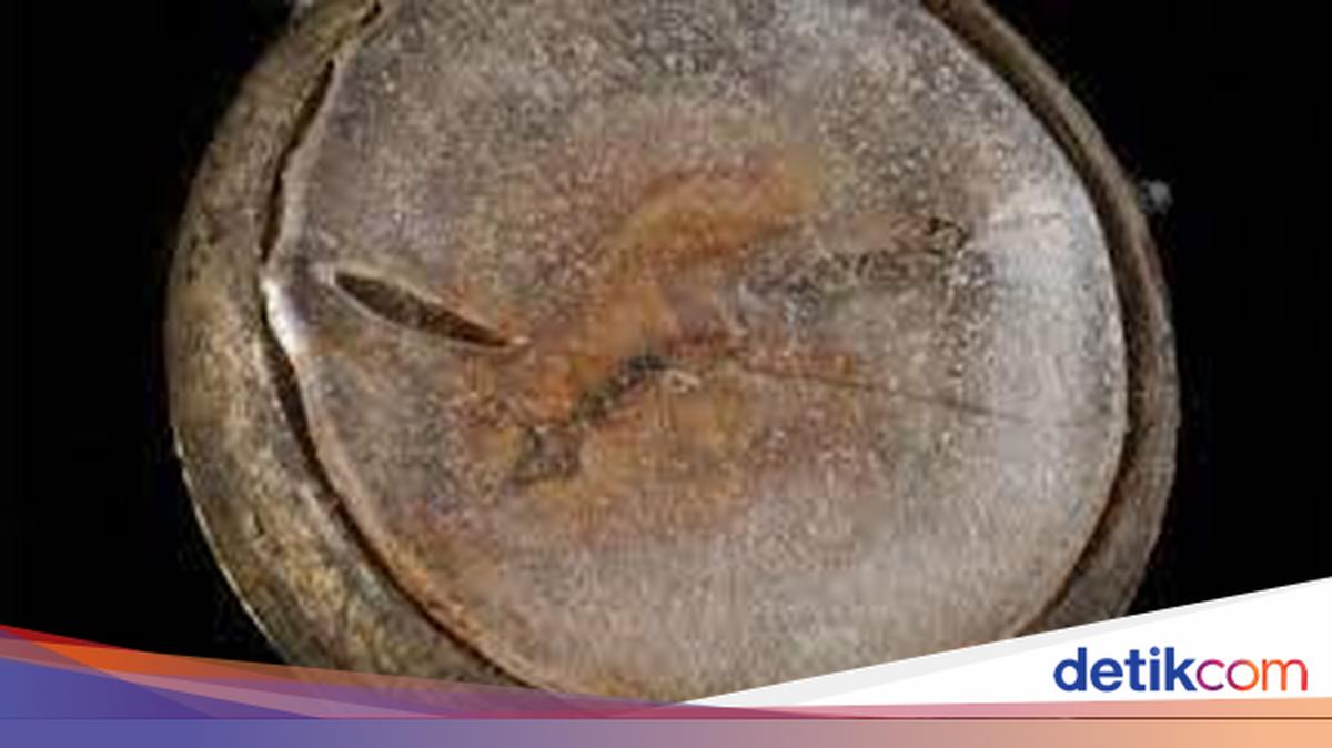 Selamat dari Ledakan Bom Atom Hiroshima, Jam Tangan Ini Dijual Rp 484 ...