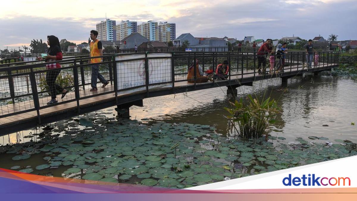 Potret Lahan Basah di Jakarta Utara Diubah Jadi Ruang Terbuka Hijau