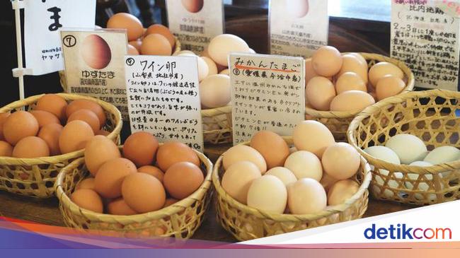 Unik! Di Jepang Ada Toko Spesialis Telur Mentah Berkualitas