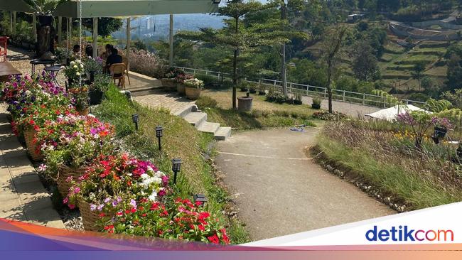 Cantik! Kafe di Dago Ini Hadirkan Nuansa ala 'Dalat' yang Penuh Bunga