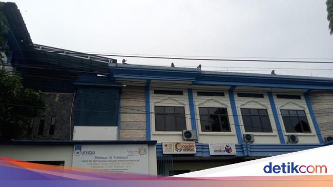 Heboh Kawanan Monyet Liar Turun ke Permukiman Warga Kota Bandung Heboh Kawanan Monyet Liar Turun ke Permukiman Warga Kota Bandung