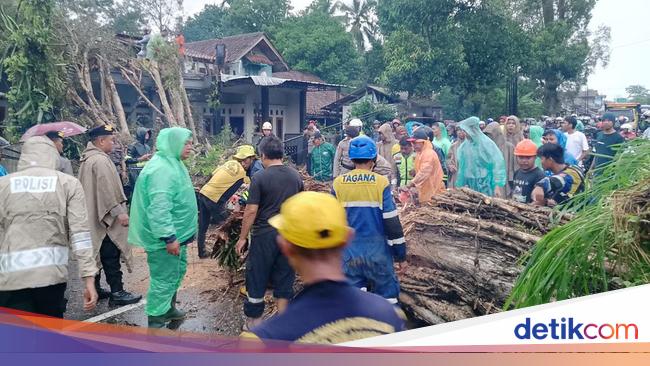 Pohon Tumbang Akibat Hujan Deras Sempat Lumpuhkan Jalur Garut-Tasik Pohon Tumbang Akibat Hujan Deras Sempat Lumpuhkan Jalur Garut-Tasik