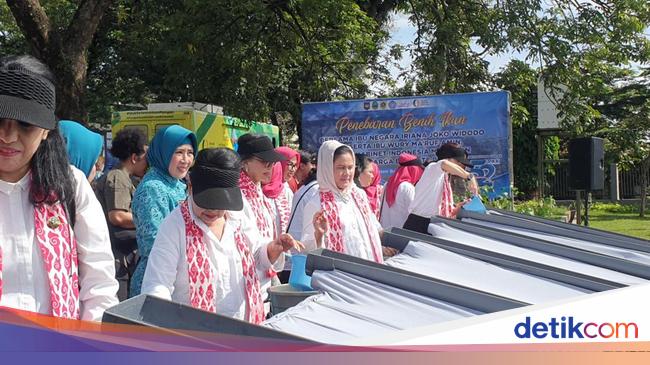 Iriana Jokowi-Wury Ma'ruf Bagikan Sembako hingga Tebar Benih Ikan di Bogor