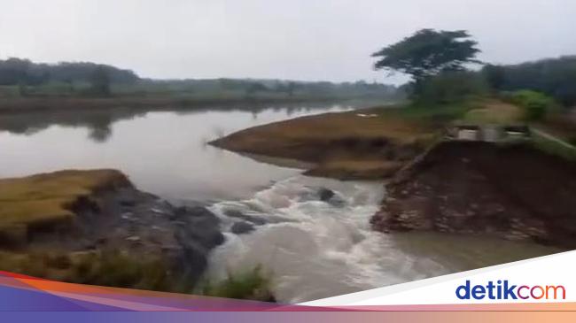 Waduk Prangi Bojonegoro Jebol 25 Meter Genangi 20 Hektare Sawah Siap Panen
