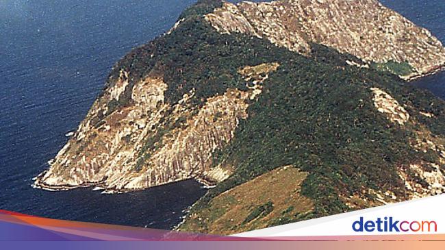 Pulau Terlarang yang Jadi Markas Ular Beracun di Brasil