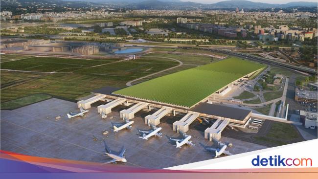 Atap Bandara Ini Dijadikan Kebun Anggur