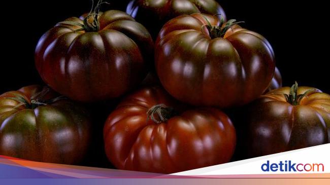 Bukan Merah, 10 Varietas Tomat Ini Berwarna Gelap Hampir Hitam