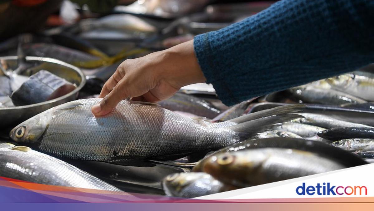Benarkah Bangkai Ikan Halal? Begini Hukumnya dalam Islam