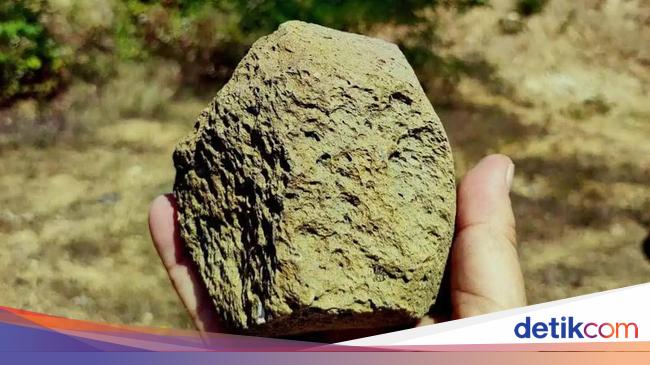 Arkeolog Temukan Bukti Manusia Purba Berusia 1,4 Juta Tahun di Ukraina