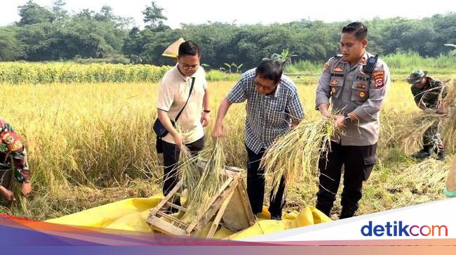 Iptu Hotma Gerakkan Ekonomi Warga Panongan Tangerang Lewat Bertani-Ternak