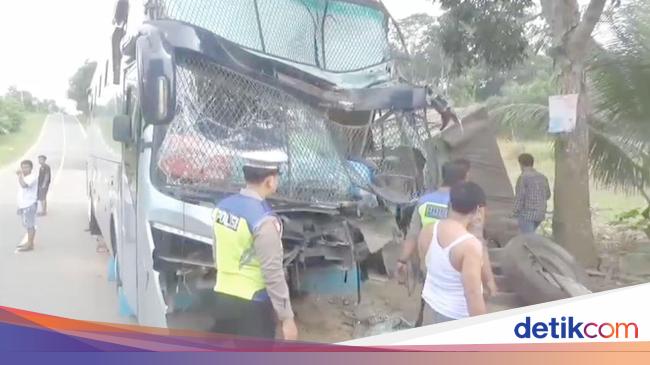 Truk Fuso Adu Kambing dengan Bus di Muaro Jambi, 5 Orang Terluka