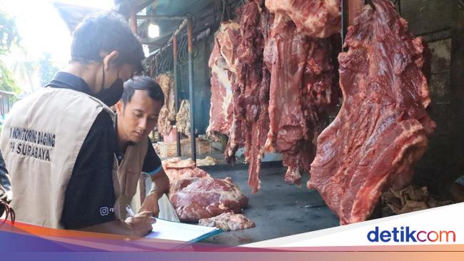 RPH Surabaya Siapkan 9 Ton Daging Sapi Selama Ramadan dan Idul Fitri