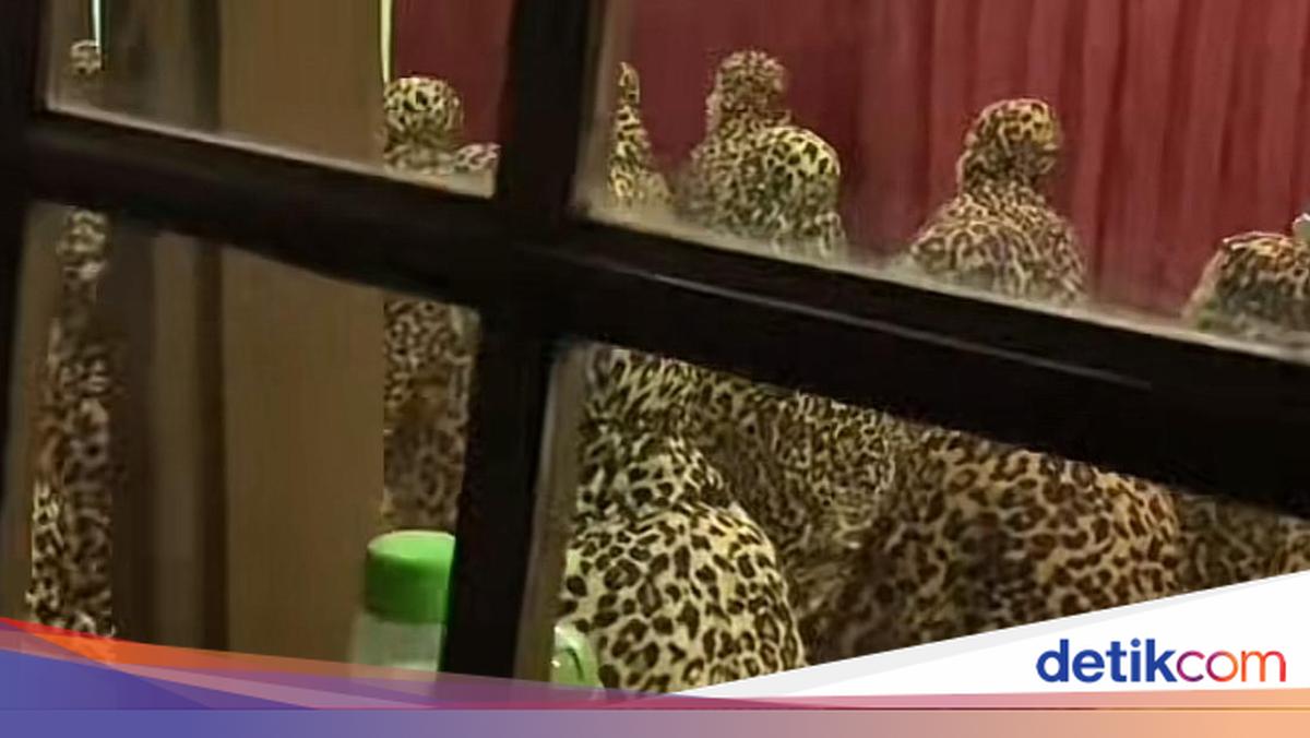 Viral Bikin Ngakak, Geng Emak-emak Tarawih Pakai Mukena Motif Macan Tutul