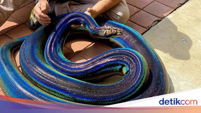 Deretan Foto Unik dan Aneh di Dunia yang Belum Pernah Dilihat