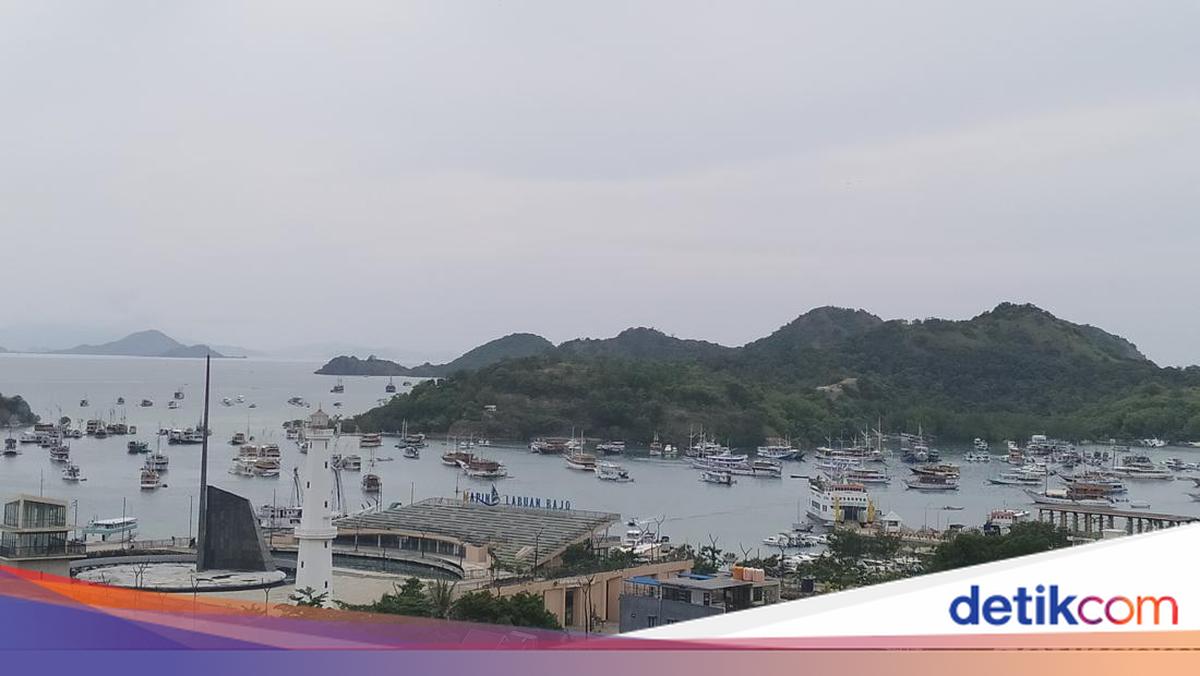 Pengumuman! Kapal Wisata Dilarang ke Pulau Komodo pada 29 Mei