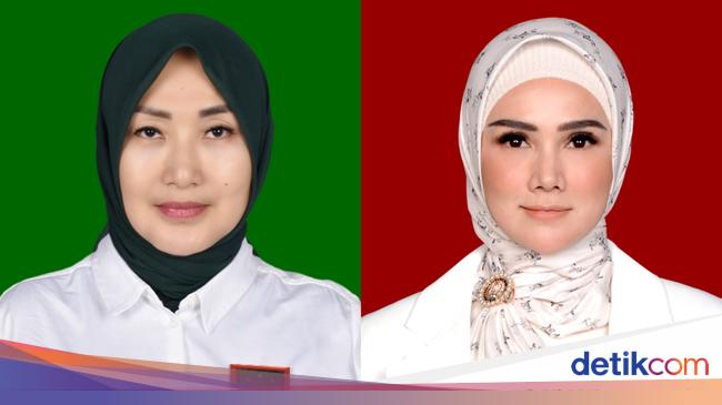 Imas Aan hingga Mulan Jameela Lolos ke DPR RI dari Jabar XI
