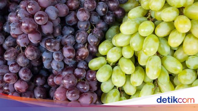 Sederet Fakta & Perbedaan Anggur Muscat dengan Anggur Merah