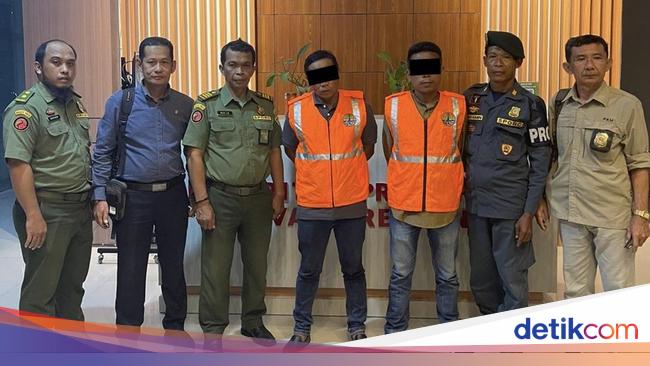 Gakkum KLHK Tangkap Kepala Desa di Bone gegara Rusak Kawasan Hutan Lindung