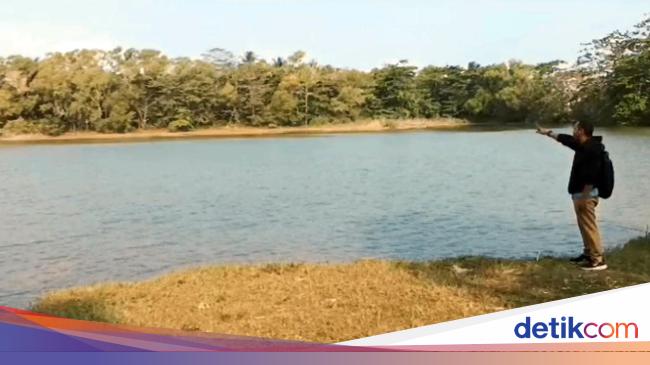 BRIN Pastikan Sehelai Rambut di Sukabumi Milik Harimau Jawa, Tapi ... BRIN Pastikan Sehelai Rambut di Sukabumi Milik Harimau Jawa, Tapi ...