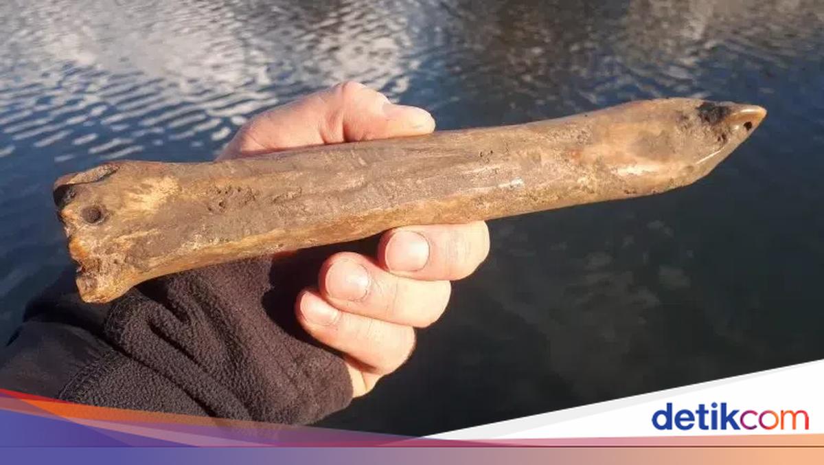 Seluncur Es dari Tulang Berusia 1.000 Tahun Ditemukan di Ceko