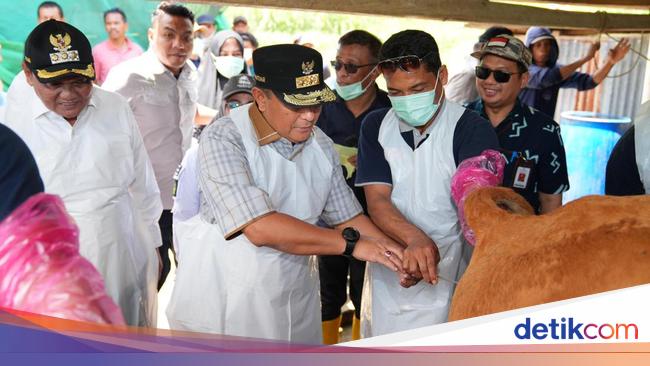 Pj Gubernur Sulsel Dorong Warga Jadi Pengusaha Ternak Lewat Inseminasi Buatan