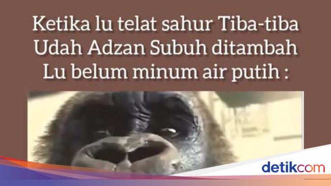 8 Meme Telat Bangun Sahur yang Bikin Ikutan Nyesek, Auto Menangis Dalam ...