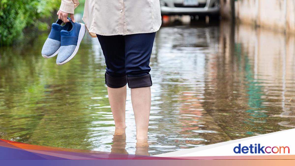 Musim Hujan 2025: Prediksi BMKG, Wilayah Rawan Banjir, dan Tips Antisipasi