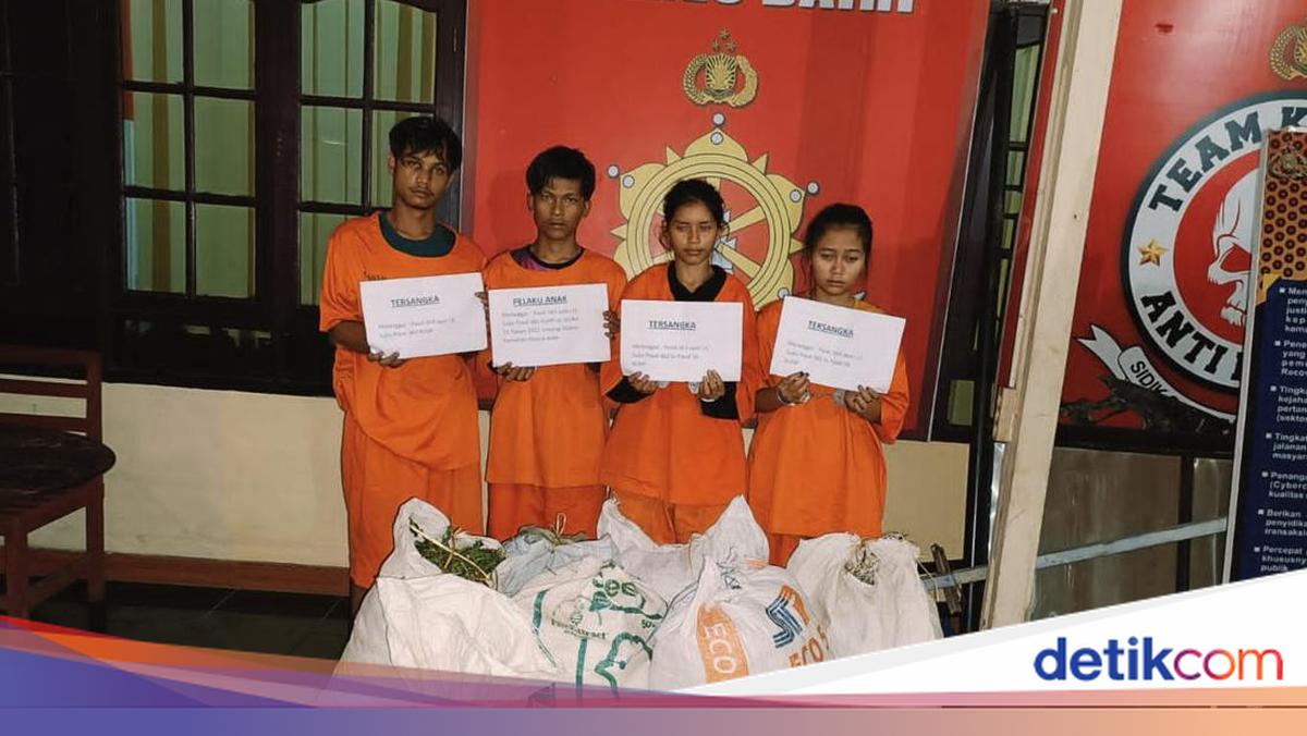2 Pasutri-1 Remaja di Dairi Curi 8 Karung Cabai di Kebun Warga
