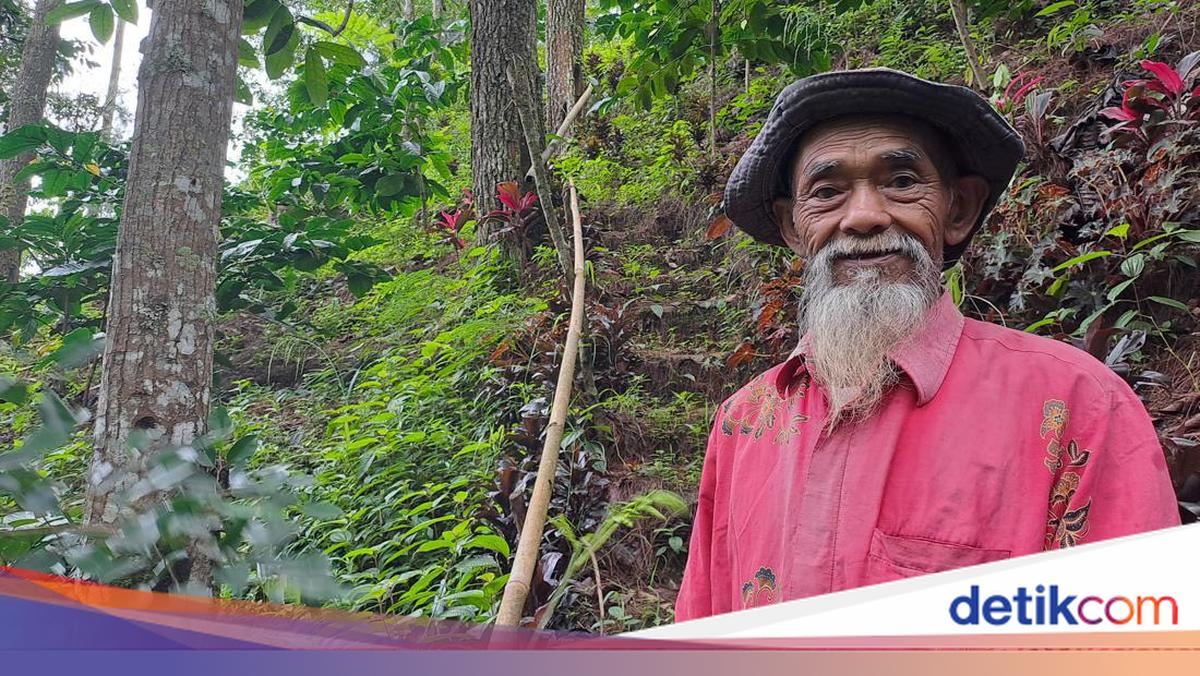 Setia Mbah Sadiman Tanam Pohon Meski Bukit Gendol Tak Lagi Gundul