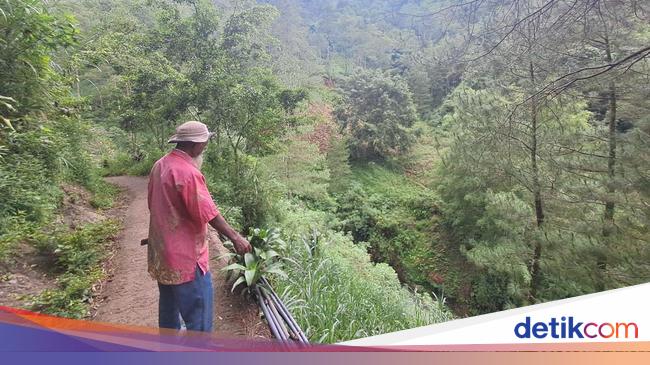 Dihijaukan Mbah Sadiman Seorang Diri, Begini Kondisi Terkini Bukit Gendol
