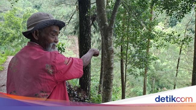 Kisah Mbah Sadiman yang Hijaukan Bukit Wonogiri demi Sumber Air