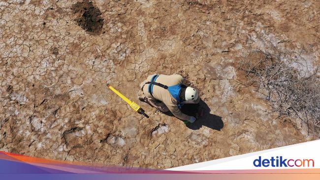 Melihat Proses Pembersihan Ranjau Darat Sisa Perang Iran-Irak